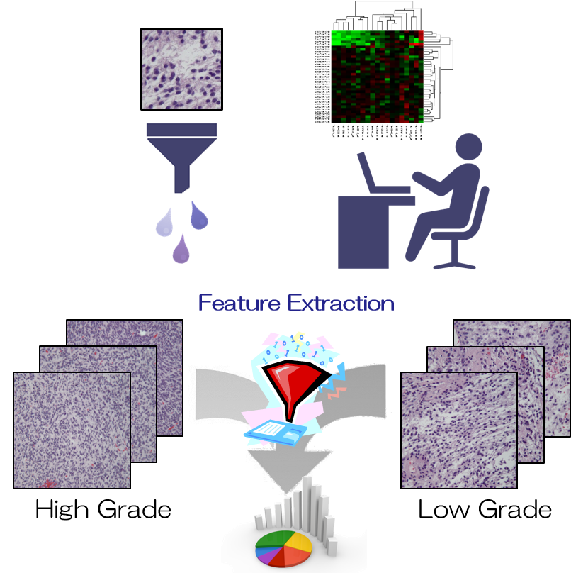 Digital Pathology Using Deep Learning – Mie University Image Processing ...